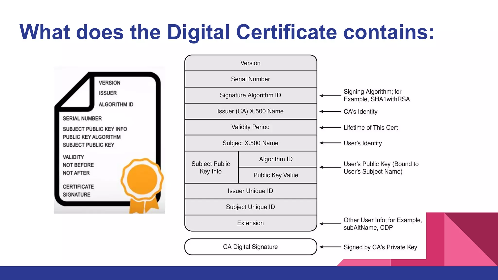 Digital certificates & its importance | PDF