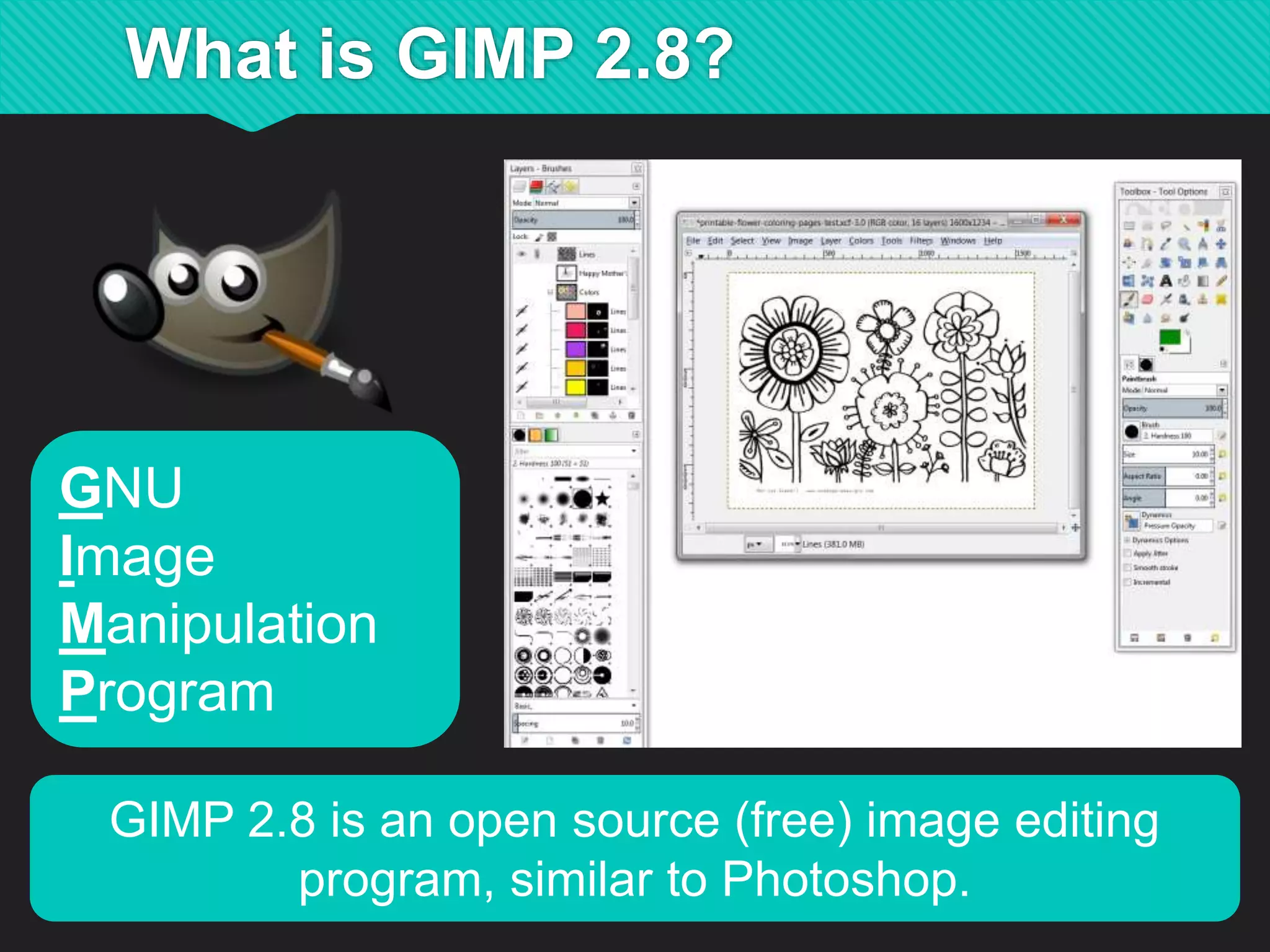 Digital Coloring Books: Coloring Images with GIMP - Library Program | PPTX