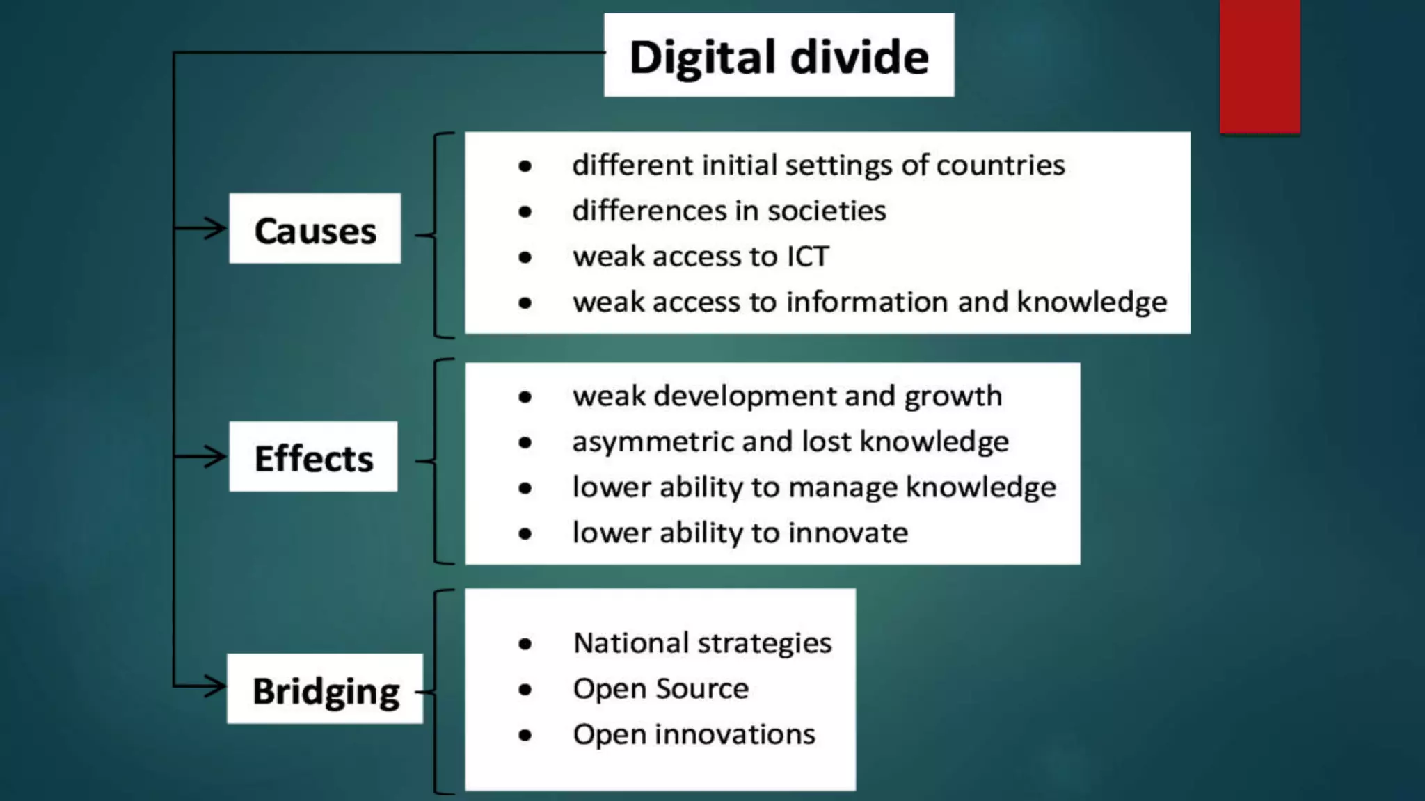 Digital Divide.pptx