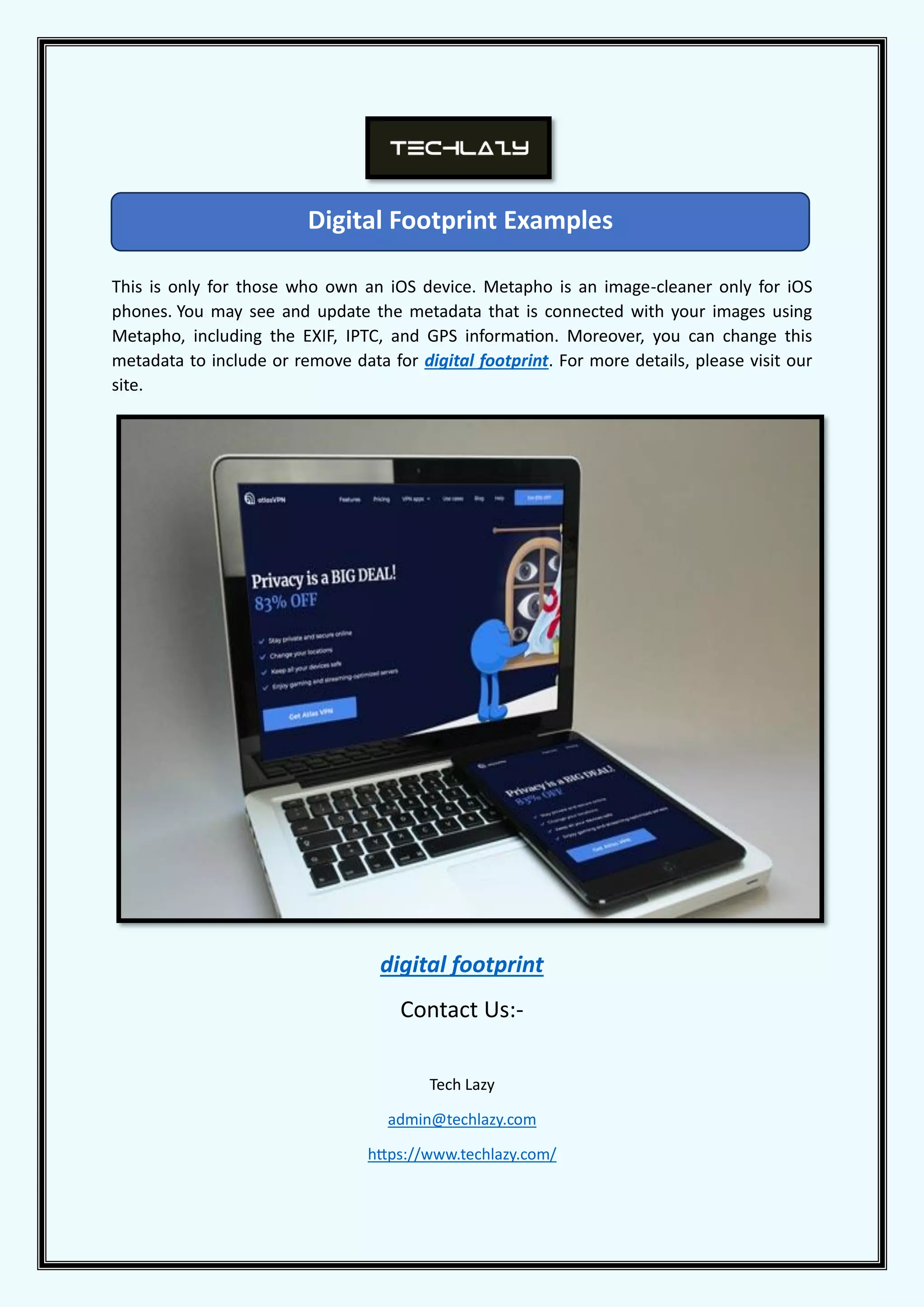 Digital Footprint Examples | PDF