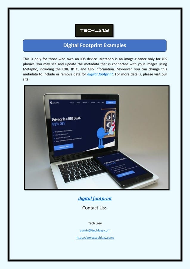 Digital Footprint Examples | PDF