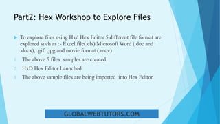 Digital Forensic Assignment Help | PPT