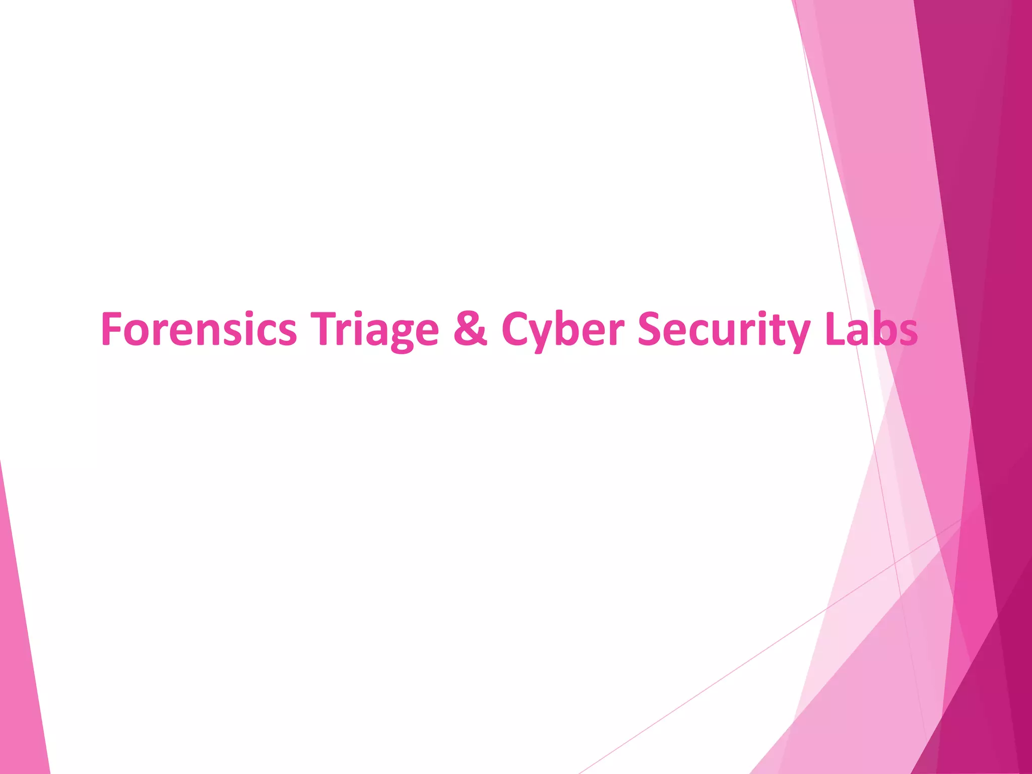 Digital Forensics Triage and Cyber Security | PPTX
