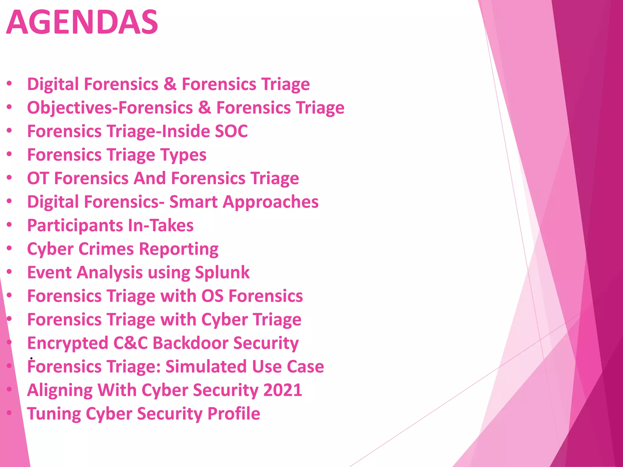 Digital Forensics Triage and Cyber Security | PPTX
