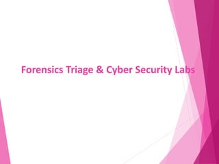Digital Forensics Triage and Cyber Security | PPTX