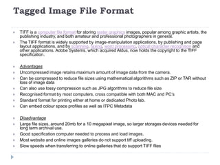 Digital graphics | PPT