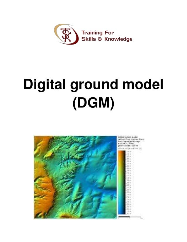 Digital ground model (dgm)