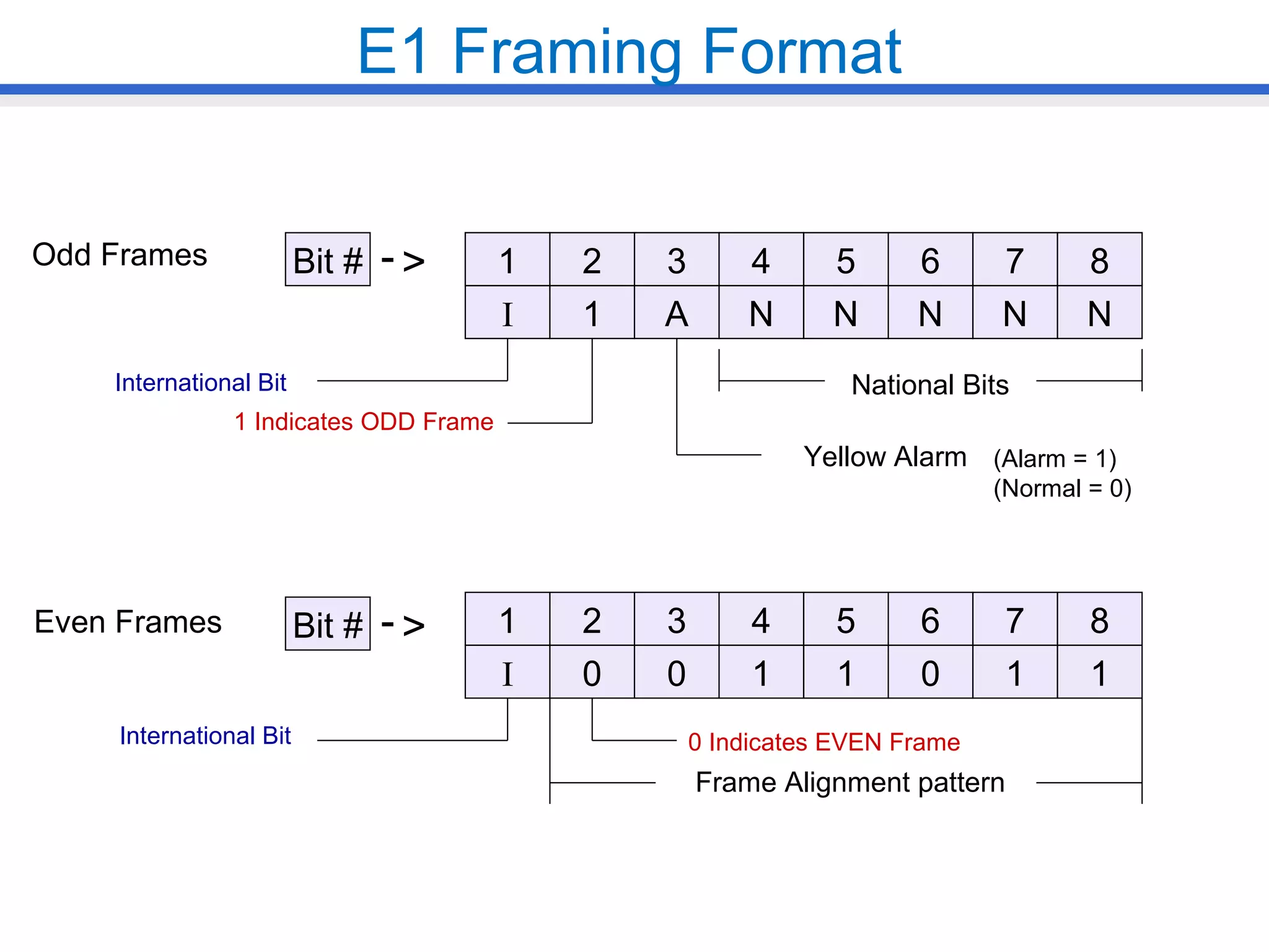Digital Hierarchy | PPT