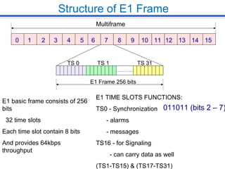 Digital Hierarchy | PPT