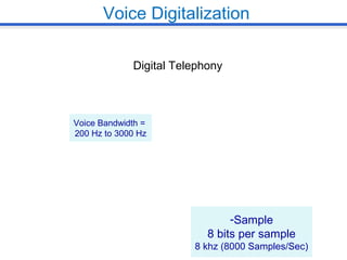 Digital Hierarchy | PPT