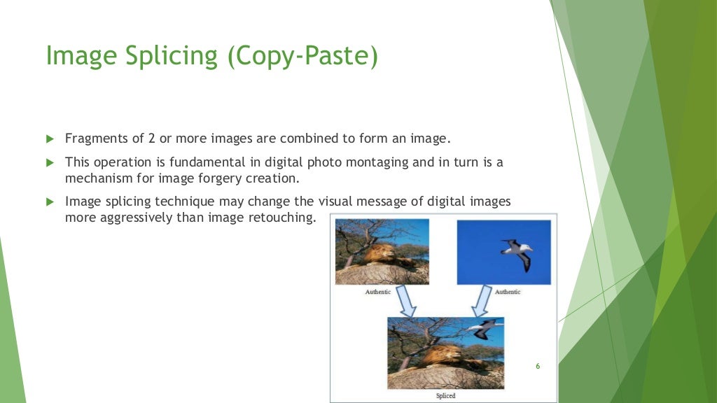 Digital Image Forgery Detection