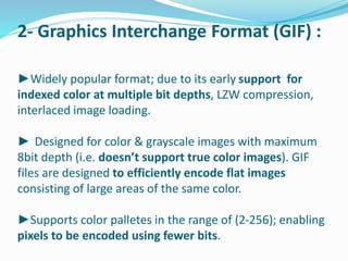 Digital image formats | PPTX