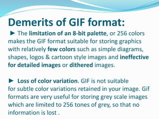 Digital image formats | PPTX