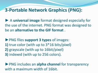 Digital image formats | PPTX