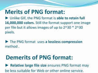 Digital image formats | PPTX