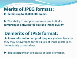 Digital image formats | PPTX