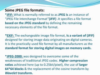 Digital image formats | PPTX
