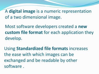 Digital image formats | PPTX