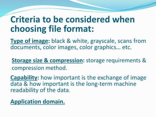 Digital image formats | PPTX