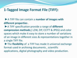 Digital image formats | PPTX