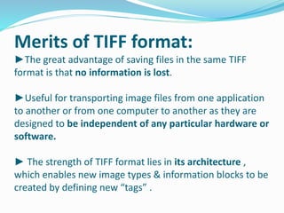 Digital image formats | PPTX