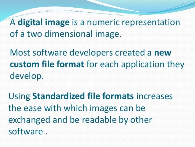Digital image formats