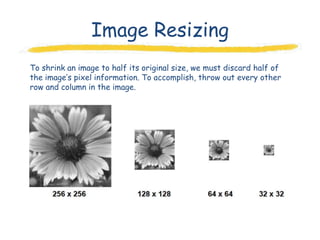 Digital Image Processing | PPTX