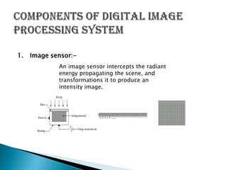 Digital image processing | PPT