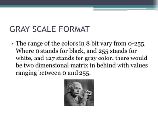 Digital image processing | PPT