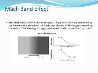 Digital image processing | PPTX