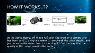 Digital image processing | PPT