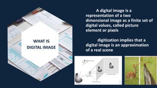 DIGITAL IMAGE PROCESSING FOR A PRESENTATION.pptx