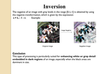 Digital image processing Tool presentation | PPT
