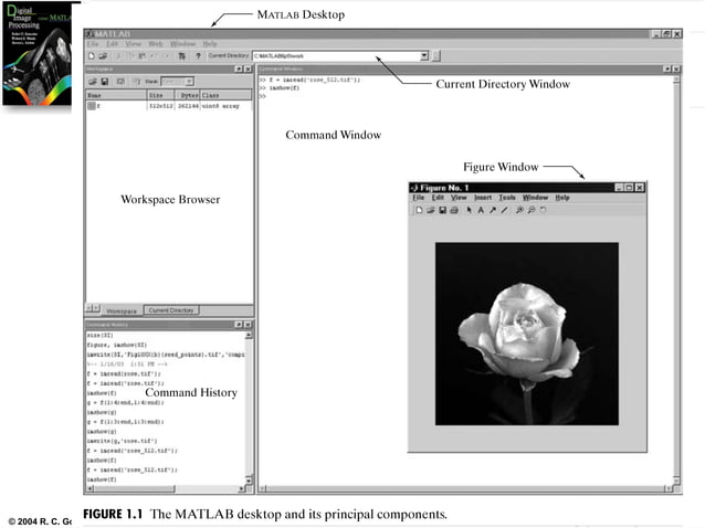 Digital image processing using matlab (fundamentals) | PPT