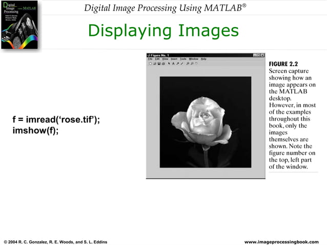 Digital image processing using matlab (fundamentals) | PPT