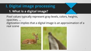 Digital image processing with photoshop | PDF