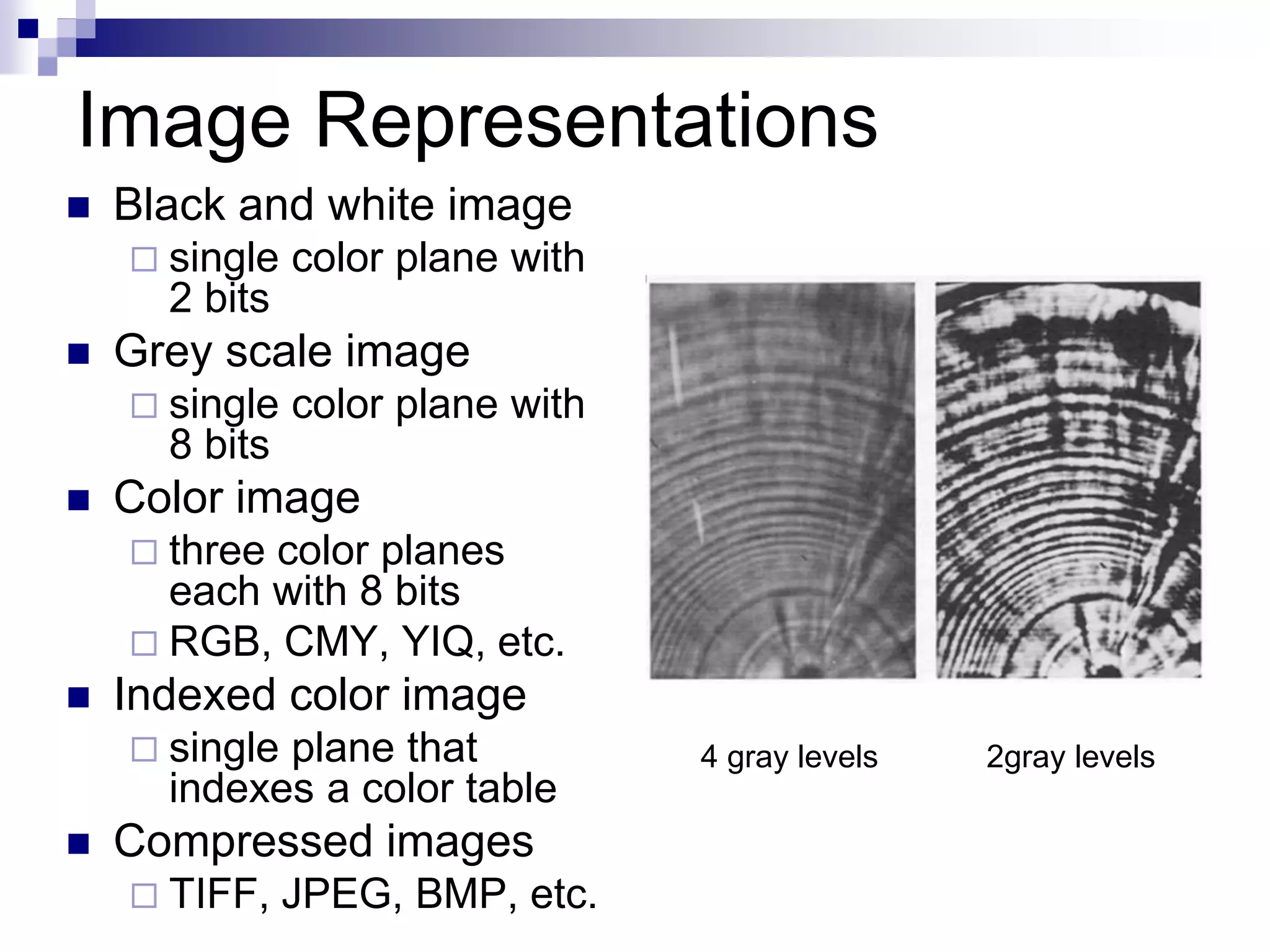 Digital Image Representation.ppt