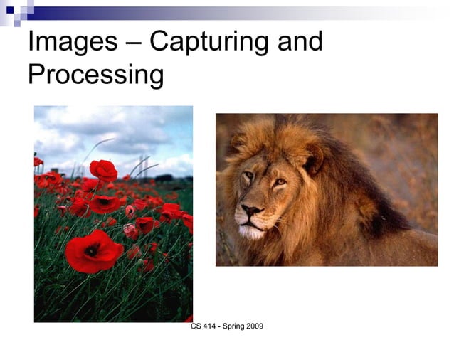 Digital Image Representation.ppt | Photo Editing Software | Computer ...