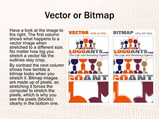 Digital Images | PPT