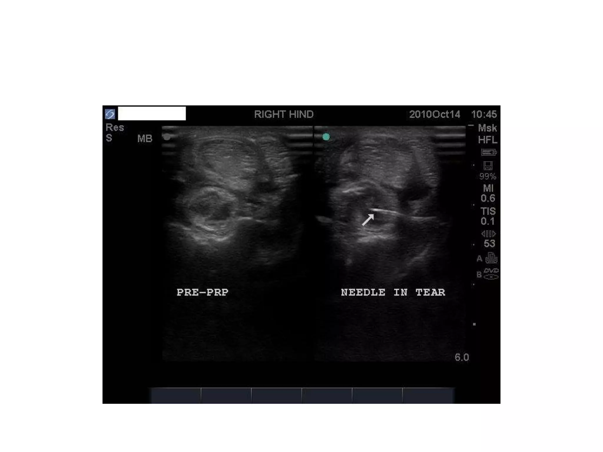 Digital Imaging in Equine Practice | PPTX