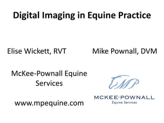 Digital Imaging in Equine Practice | PPT