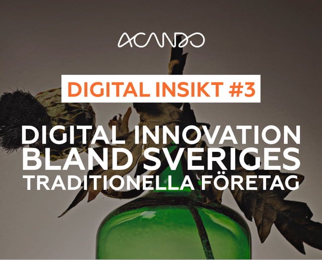 Digital Insikt #3 | PDF