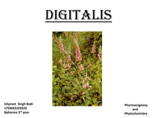 Digitalis | PDF