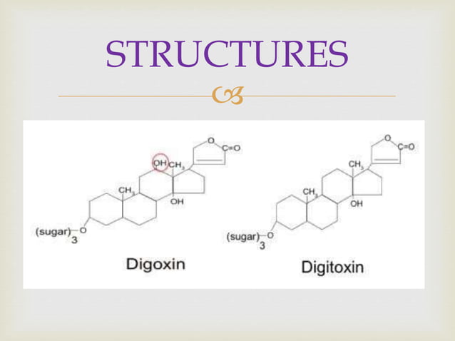 Digitalis | PPTX | Heart and Cardiovascular Diseases | Diseases and Conditions