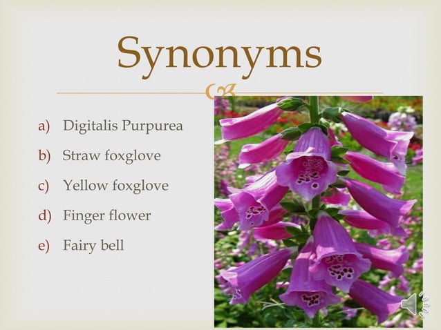 Digitalis | PPTX | Heart and Cardiovascular Diseases | Diseases and Conditions