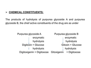 Cardiovascular Diseases ( Digitalis ) | PPTX
