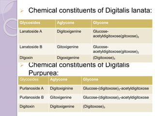 Digitalis (Scrophulariaceae) | PPTX