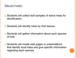 Digital leaf collection | PPT