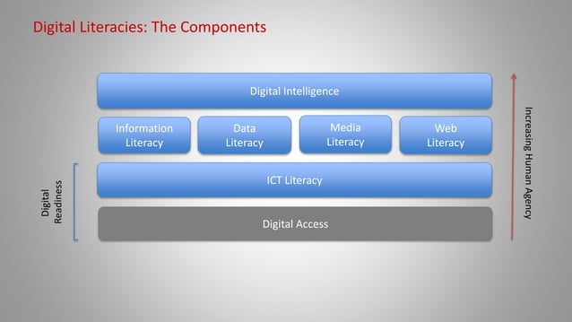 Digital literacy, competence and citizenship | PPT