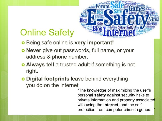 Digital literacy & online safety | PPTX